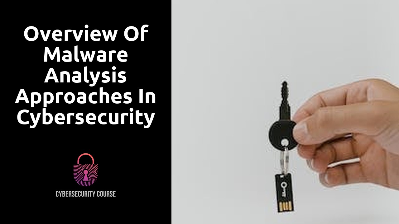 Overview Of Malware Analysis Approaches In Cybersecurity Courses